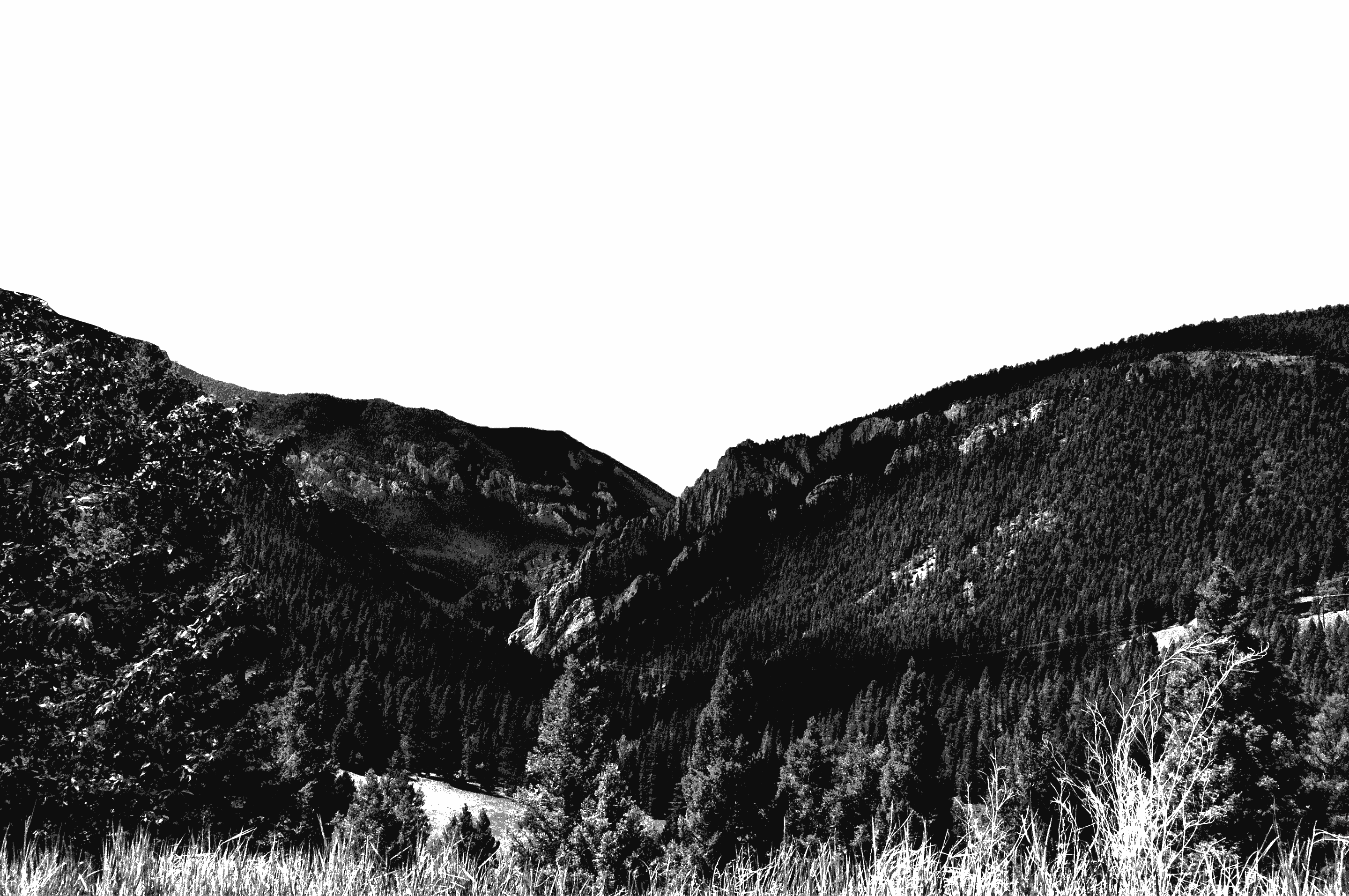 How to use the Library | Carroll College