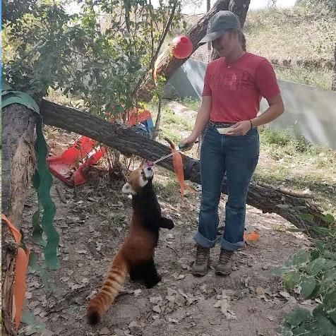 Transfer Pathway - Anthrozoology at Carroll College