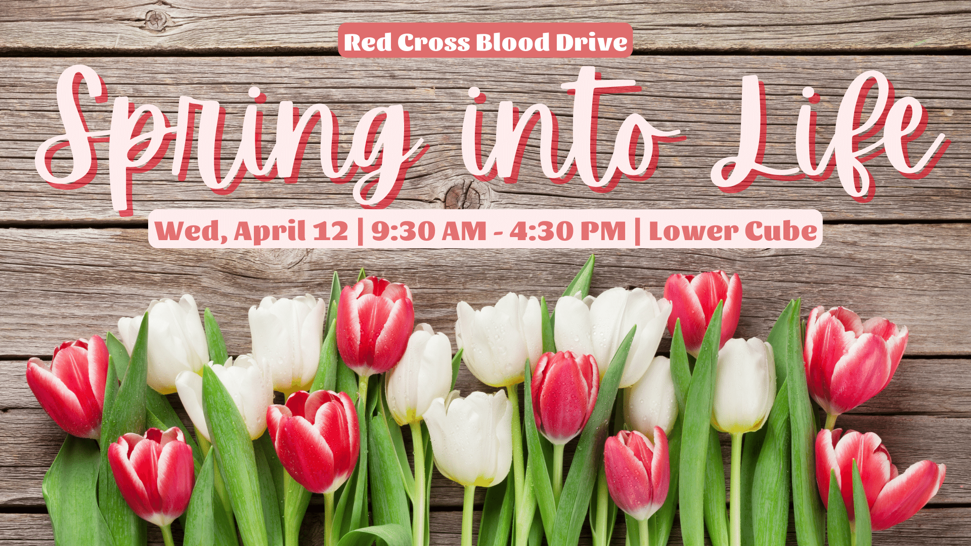 Red Cross Blood Drive | Carroll College