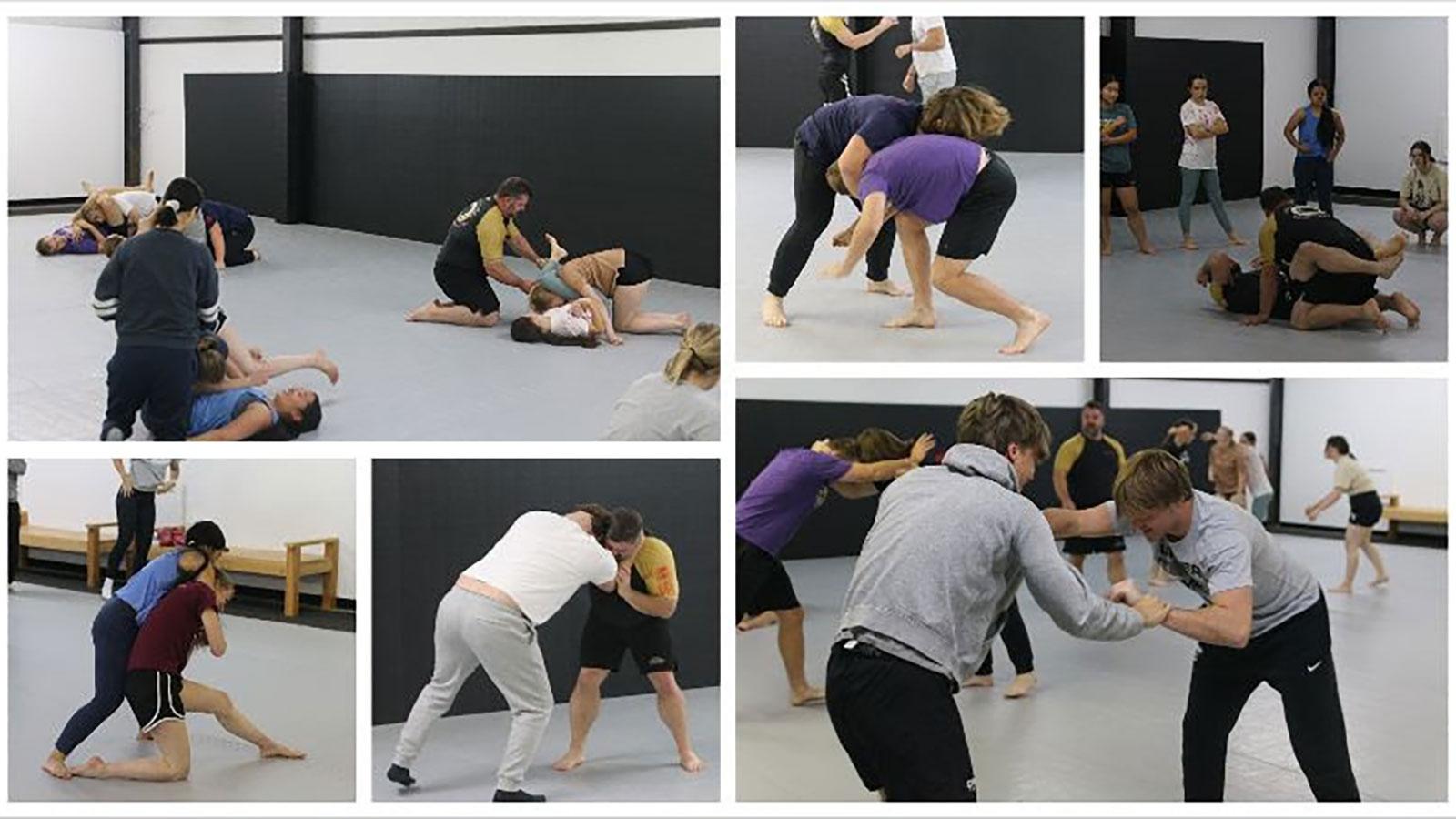 Fighting, Writing, and Virtue: An Innovative Intro to the Liberal Arts ...